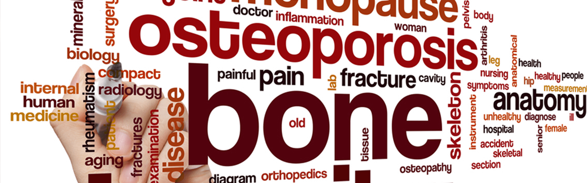 Bone Health & How To Manage Osteoporosis - The Best Of Health